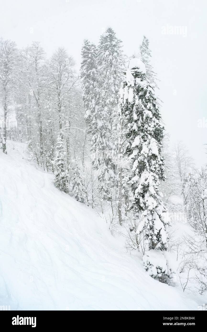Tall mountain snowstorm hi-res stock photography and images - Alamy