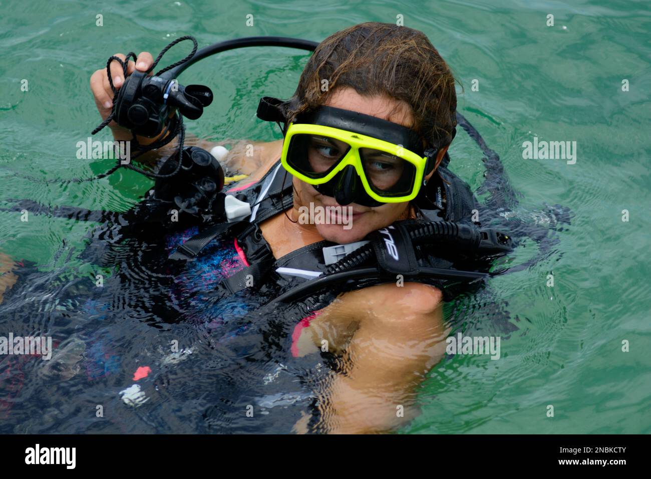 Marine biologists and volunteers at Marine Conservation Cambodia ...