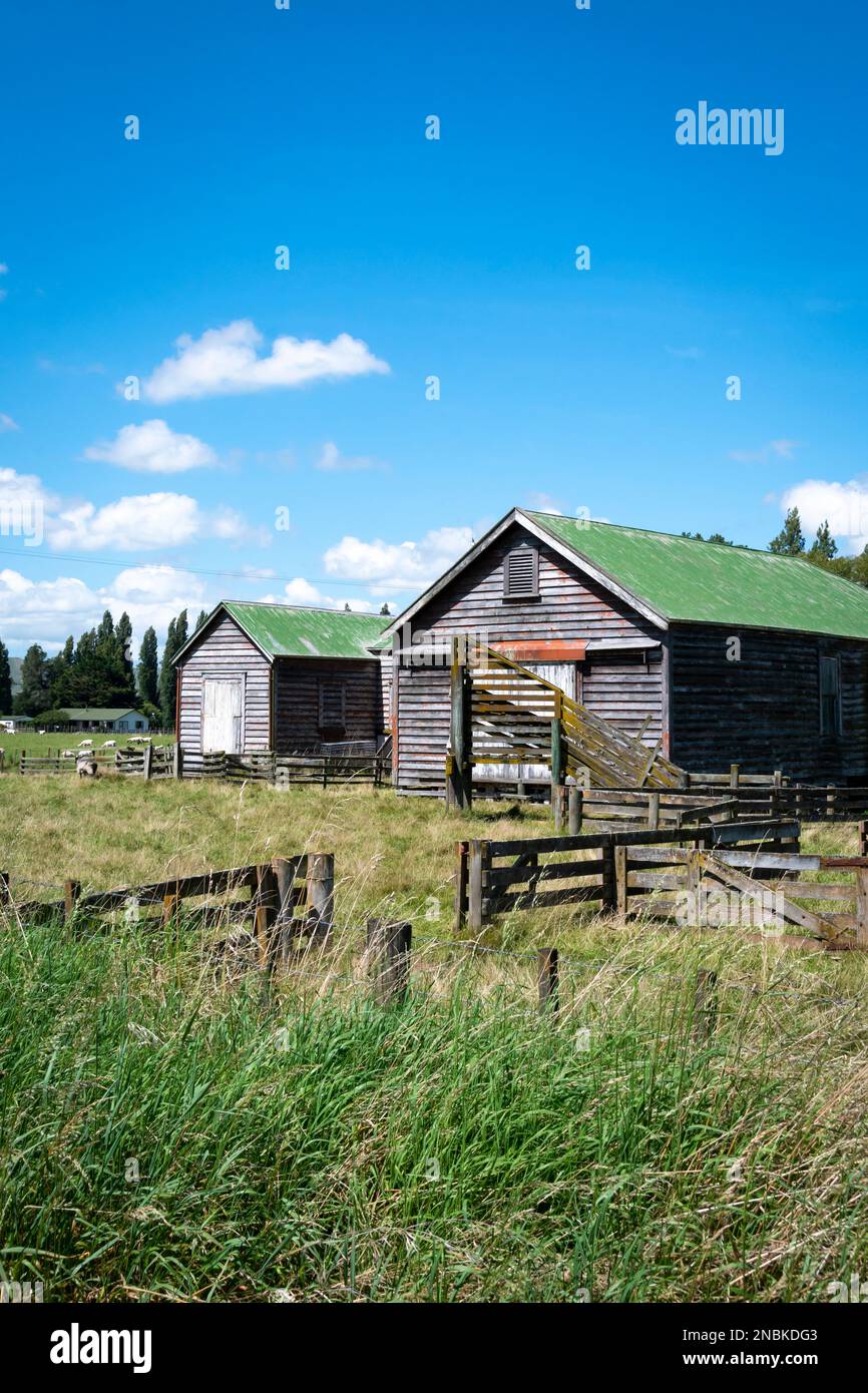 Woolshed hi-res stock photography and images - Alamy