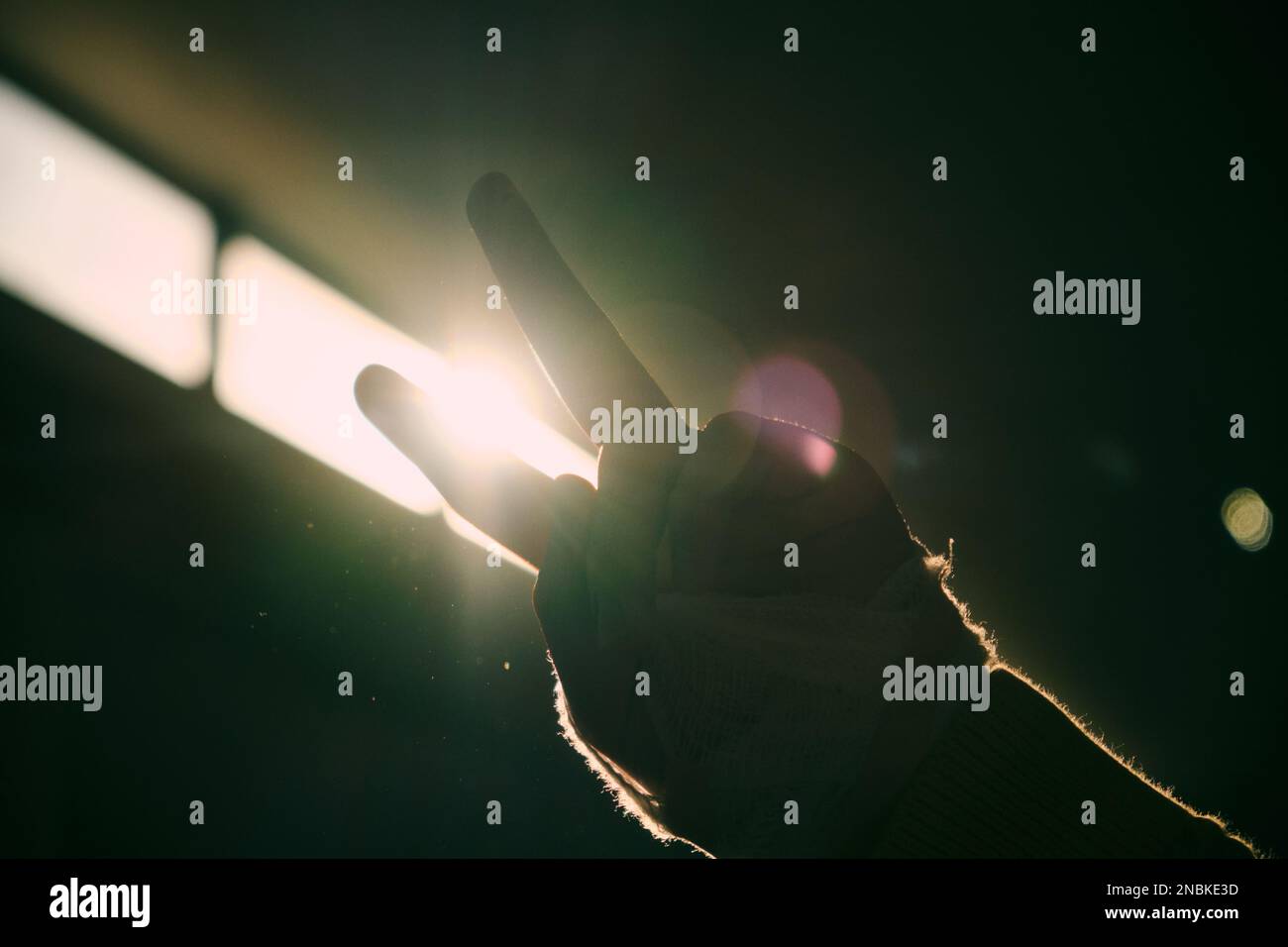 A human hand showing number 2 gesture Stock Photo - Alamy