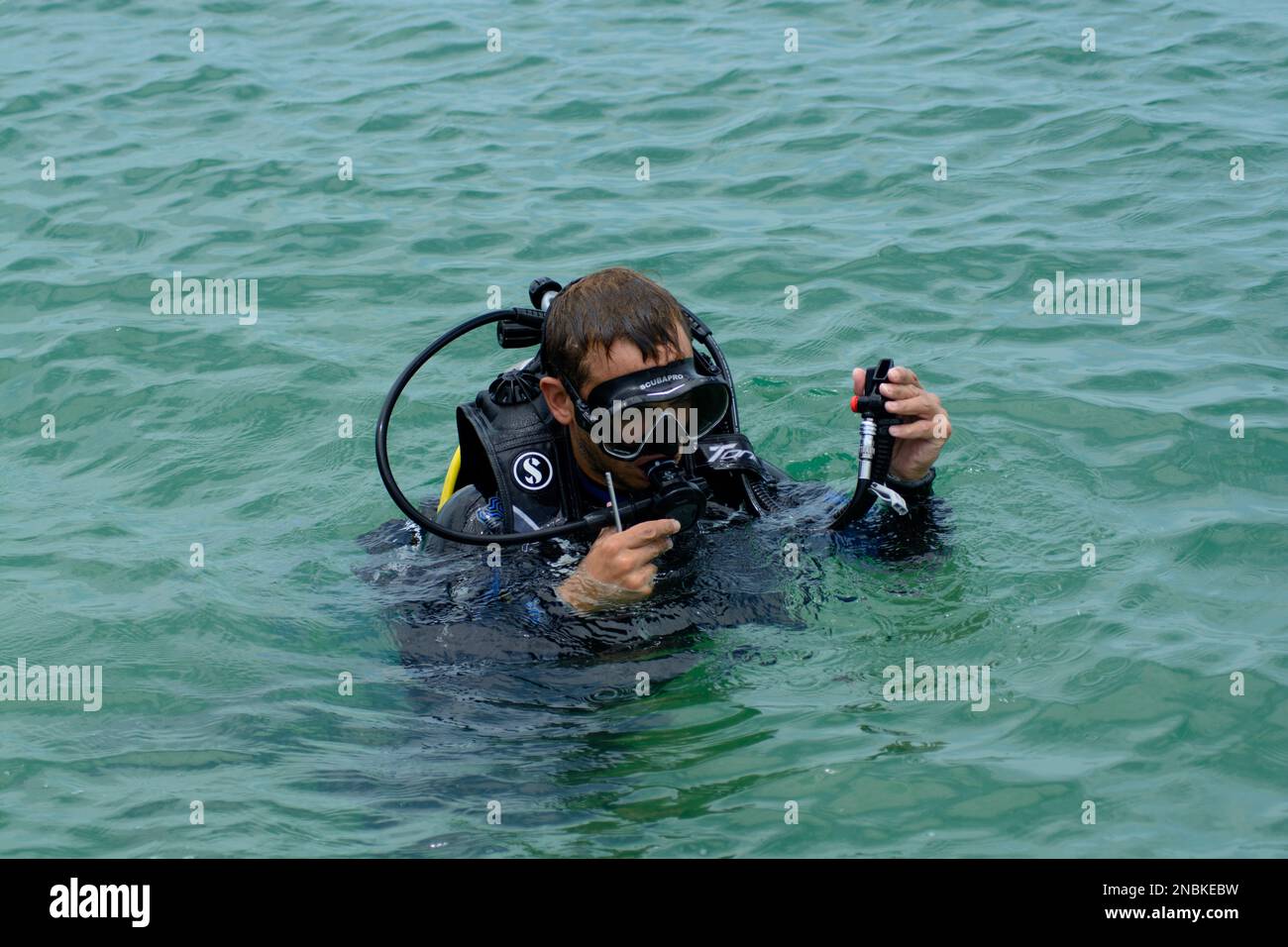 Marine biologists and volunteers at Marine Conservation Cambodia ...