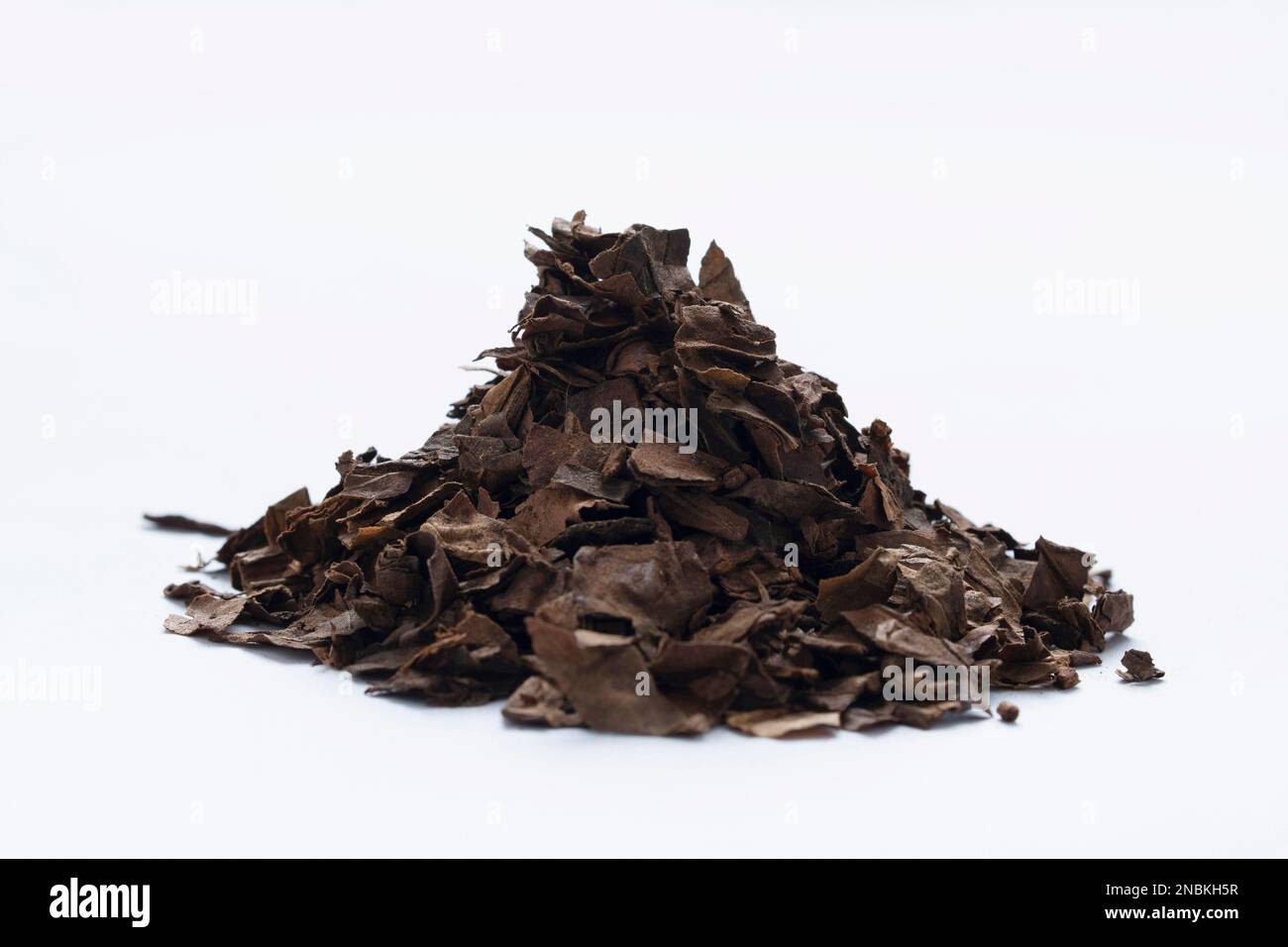 Tobbaco , Nicotiana tabacum, Satara, Maharashtra, India Stock Photo - Alamy