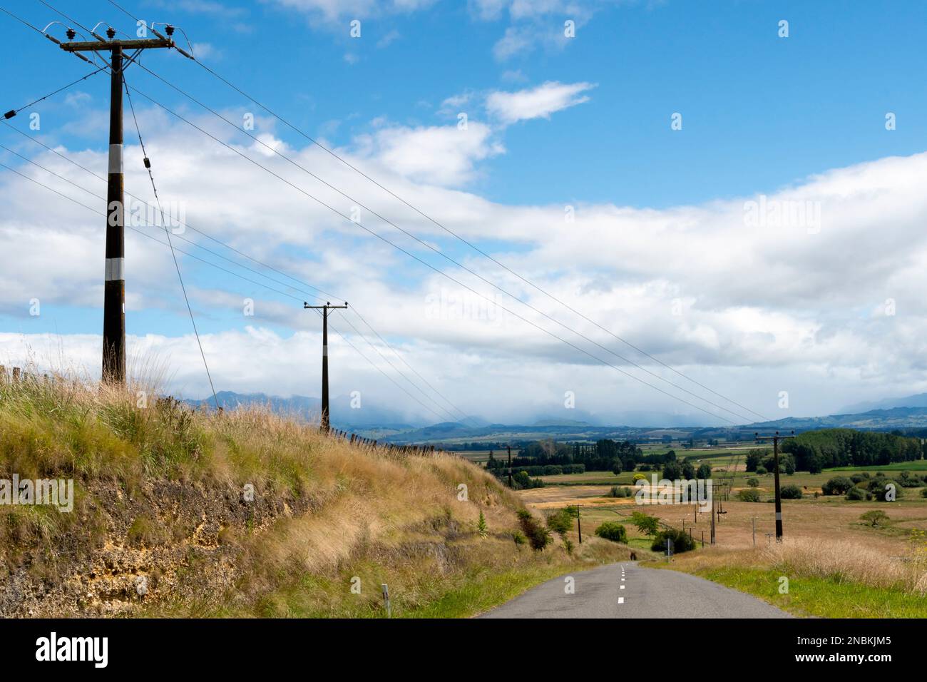 Power poles along country road, Lindsay Road, near Waipukurau, Central ...