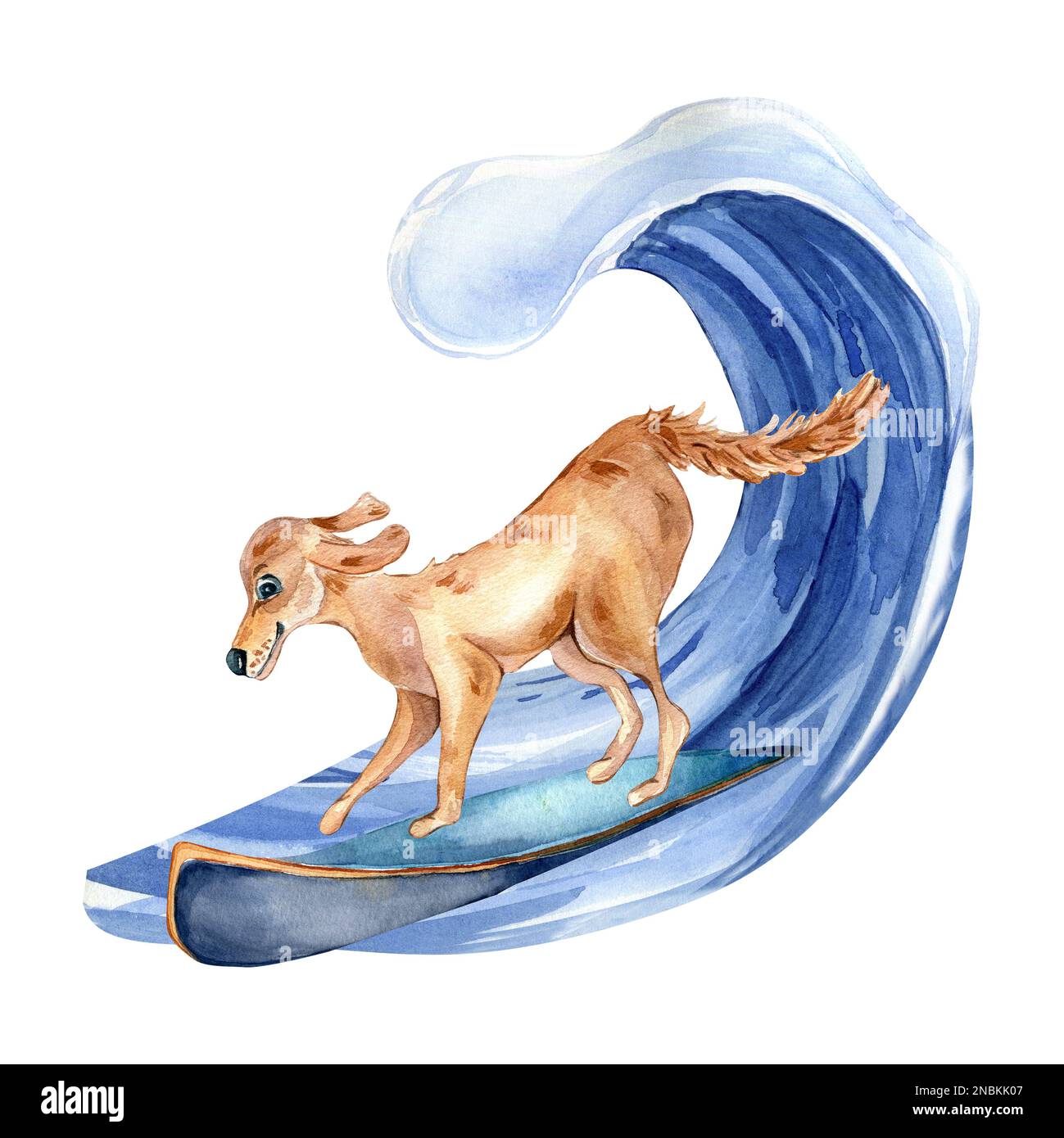 Cartoon dog has surfboarding on wave watercolor illustration isolated ...