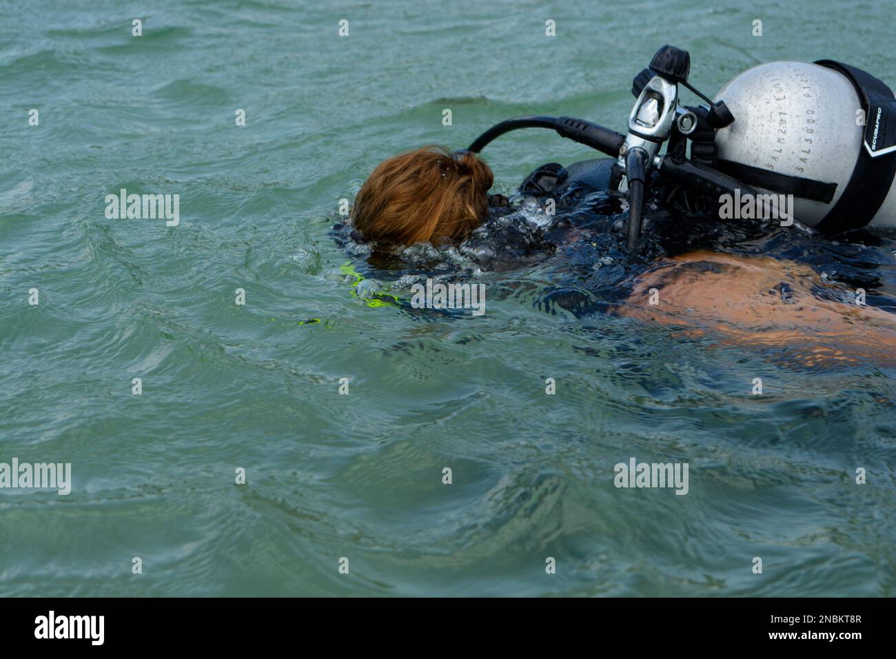 Marine biologists and volunteers at Marine Conservation Cambodia ...