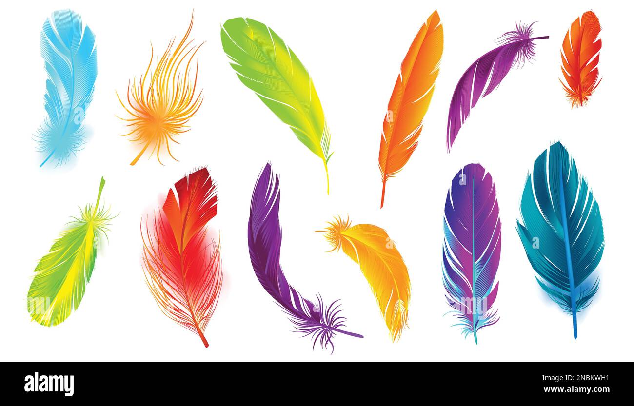 Realistic feathers color set with isolated images of bird feather of ...