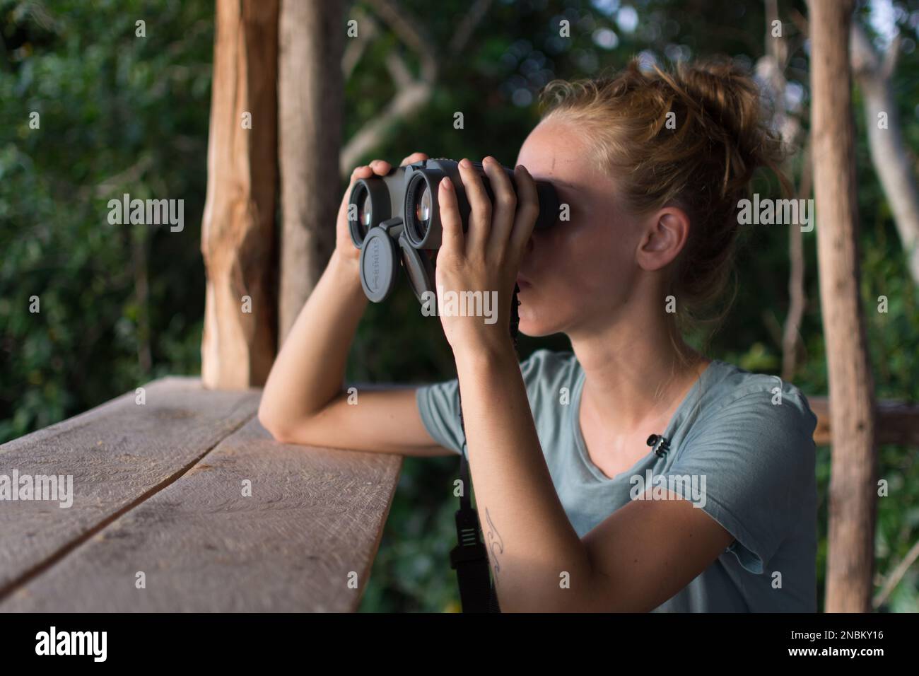 Marine biologists and volunteers at Marine Conservation Cambodia ...