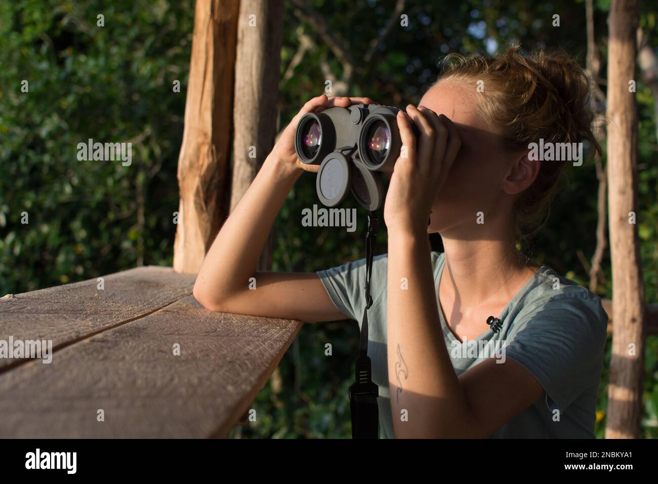 Marine biologists and volunteers at Marine Conservation Cambodia ...