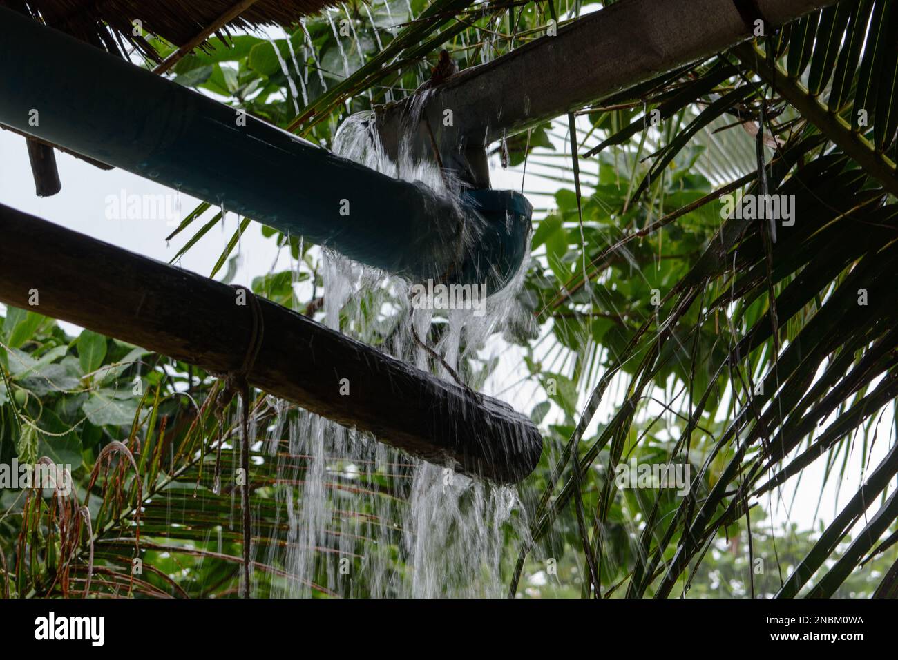 Rain water is collected and stored at the Marine Conservation Cambodia ...