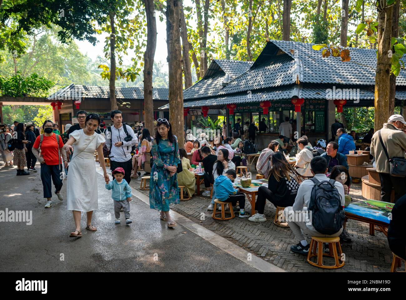 Xishuangbanna, China's Yunnan Province. 12th Feb, 2023. Tourists are ...
