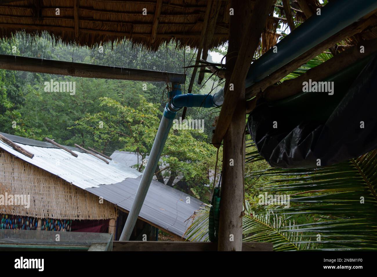 Rain water is collected and stored at the Marine Conservation Cambodia ...