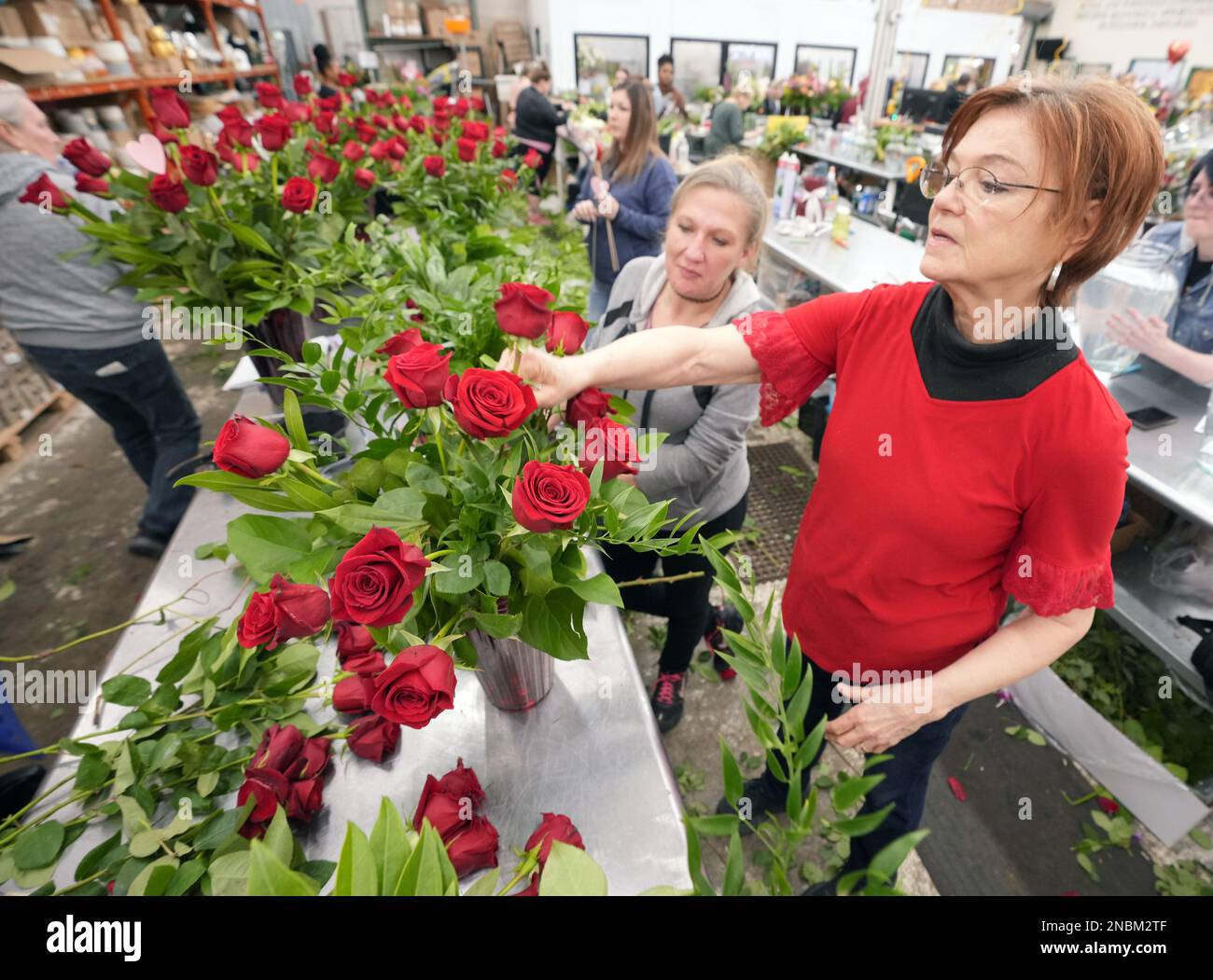 St. Louis, United States. 13th Feb, 2023. Floral arranger Vicki Rose ...