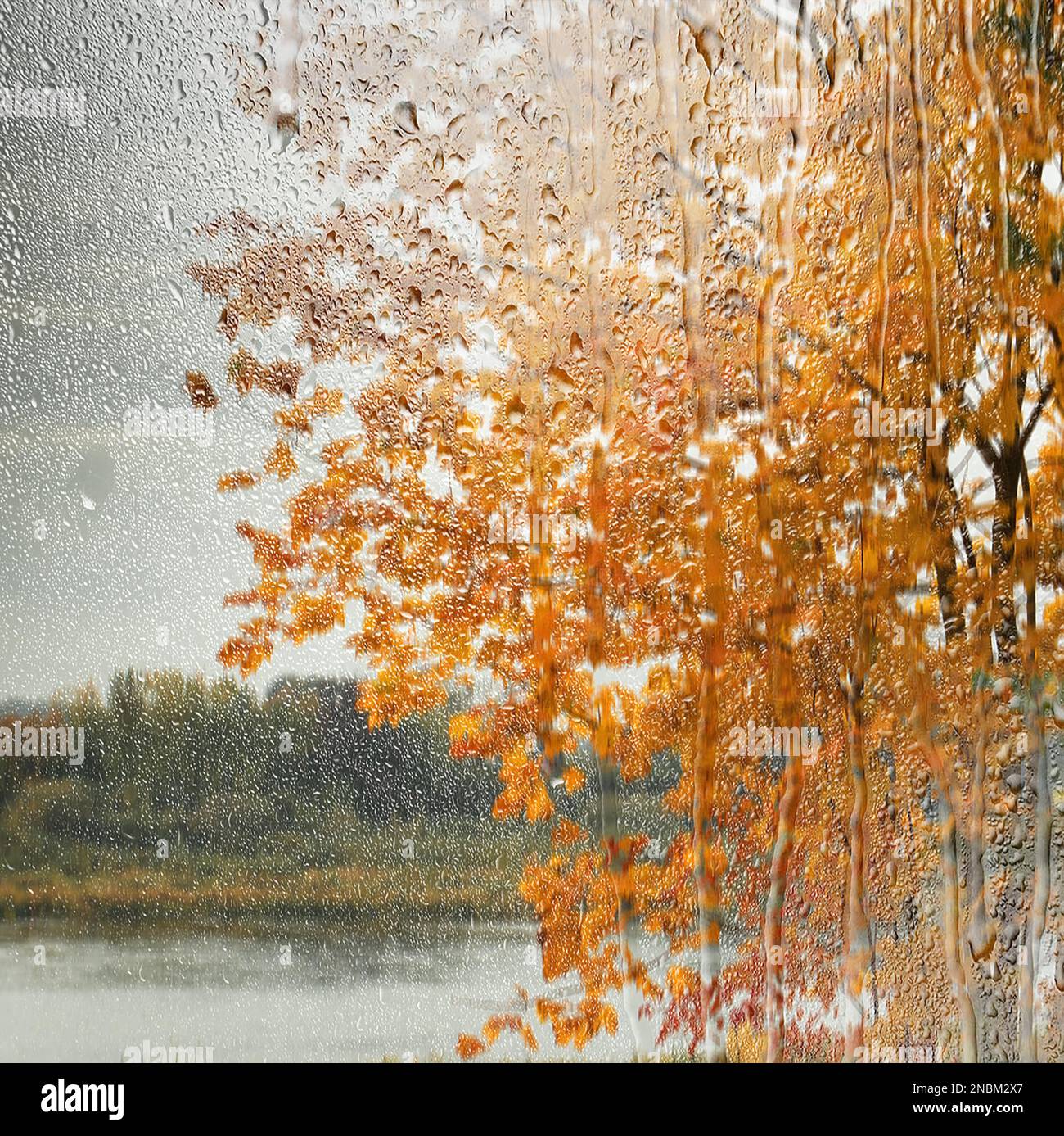 View through the rain-drenched glass on the autumn maple and the river ...