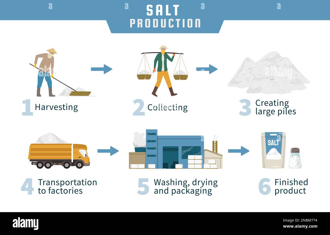 Salt production stages flat infographics with workers machinery and ...