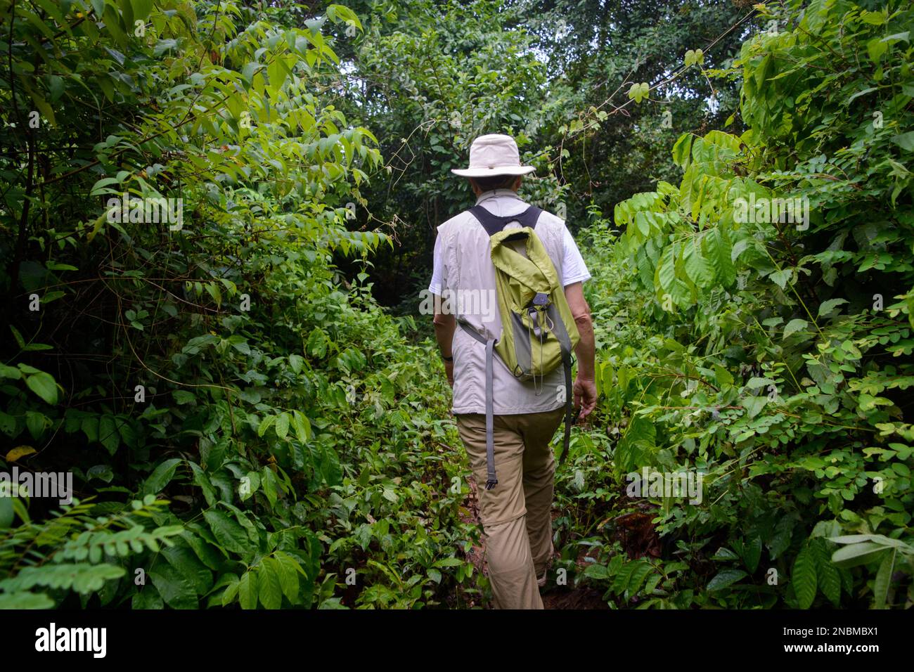 Doug Bender walks through the bush on Marine Conservation Cambodia ...