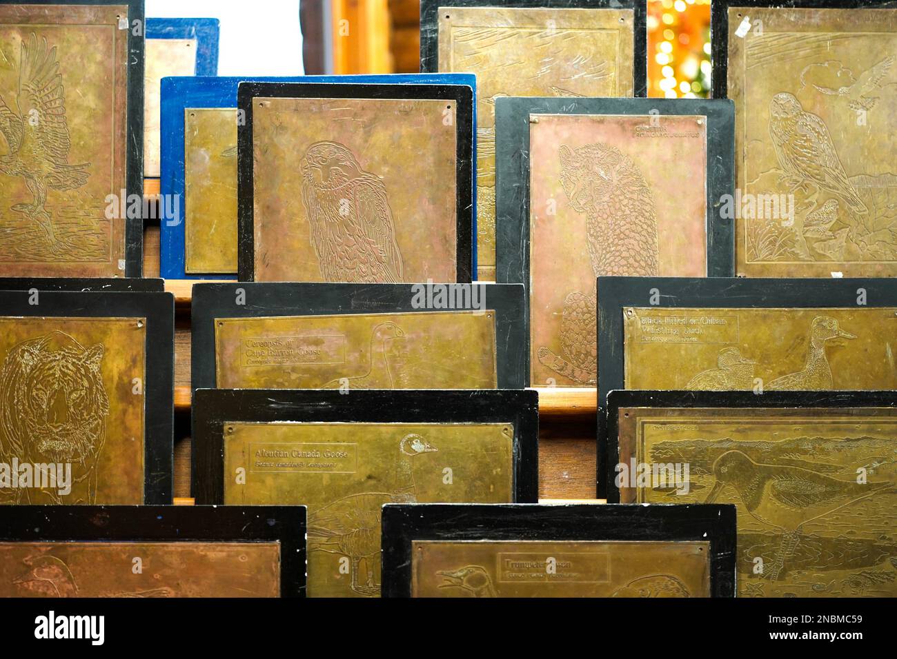 Lithograph and stencil hi-res stock photography and images - Alamy