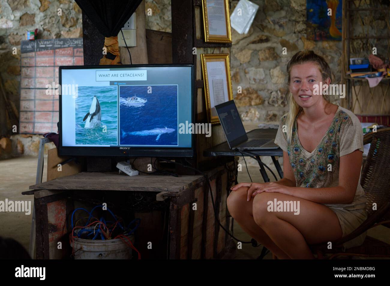 Marine mammal scientist Sarah Tubbs talks about conversation of marine ...
