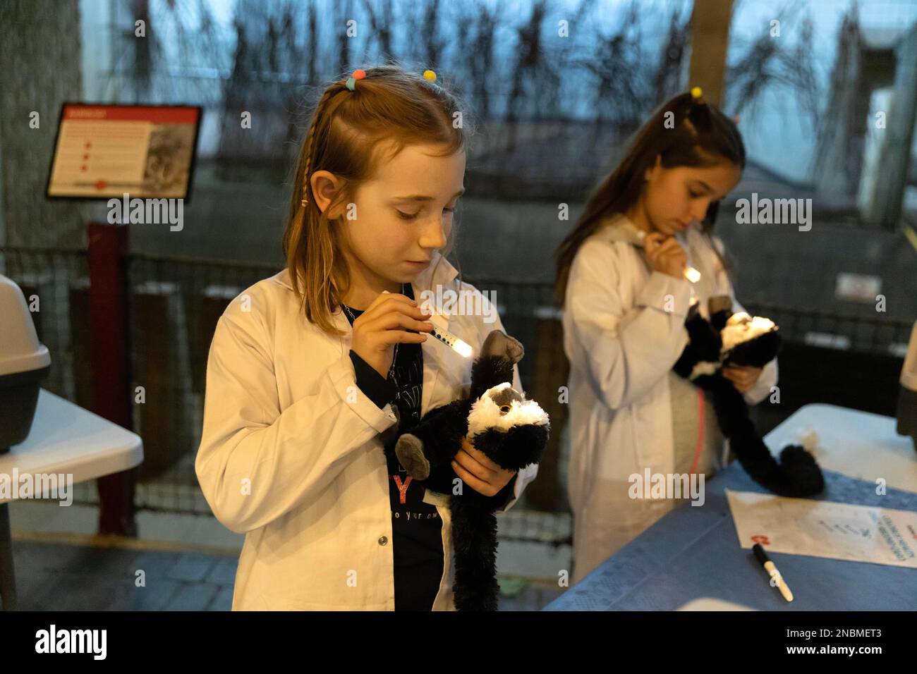 London Zoo is inviting children to become zoo vets this February half ...