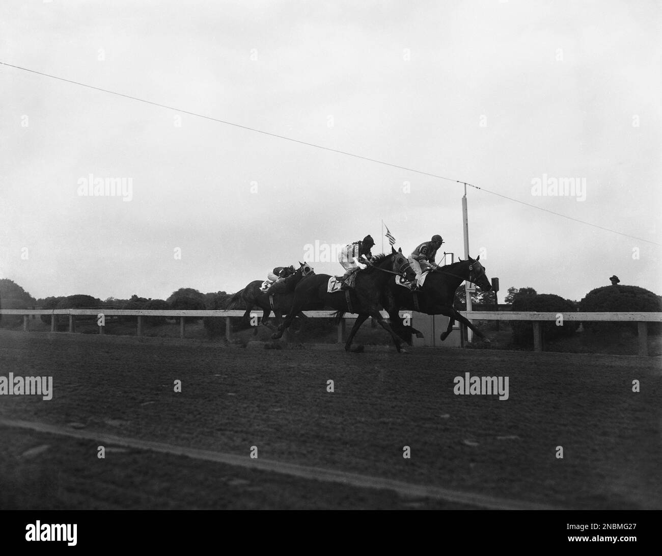 Hasty Road, right, John Adams aboard, crosses finish line first in ...
