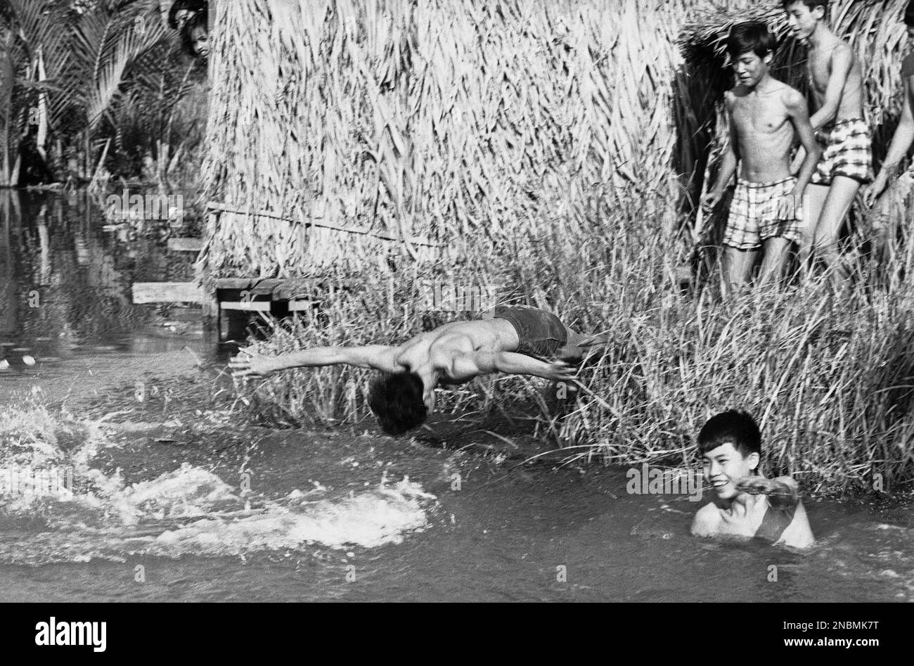 Youthful civil defense militiamen leap into the flooded Nipa Palm grove ...