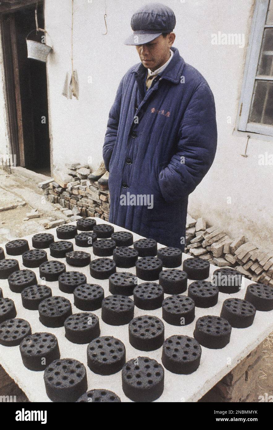 A Chinese worker poses beside home-made coal briquettes in China in ...