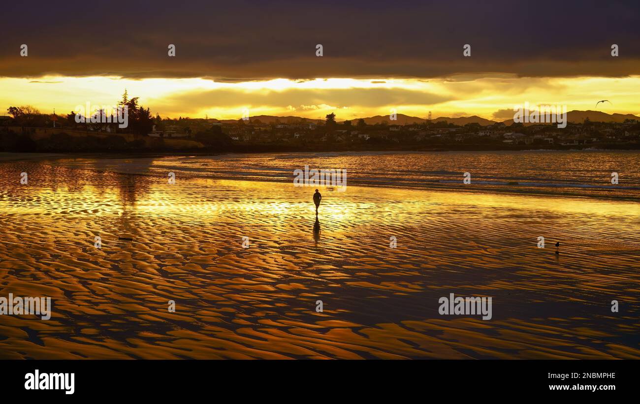 A breathtaking aerial view of human silhouette on wet sandy beach ...