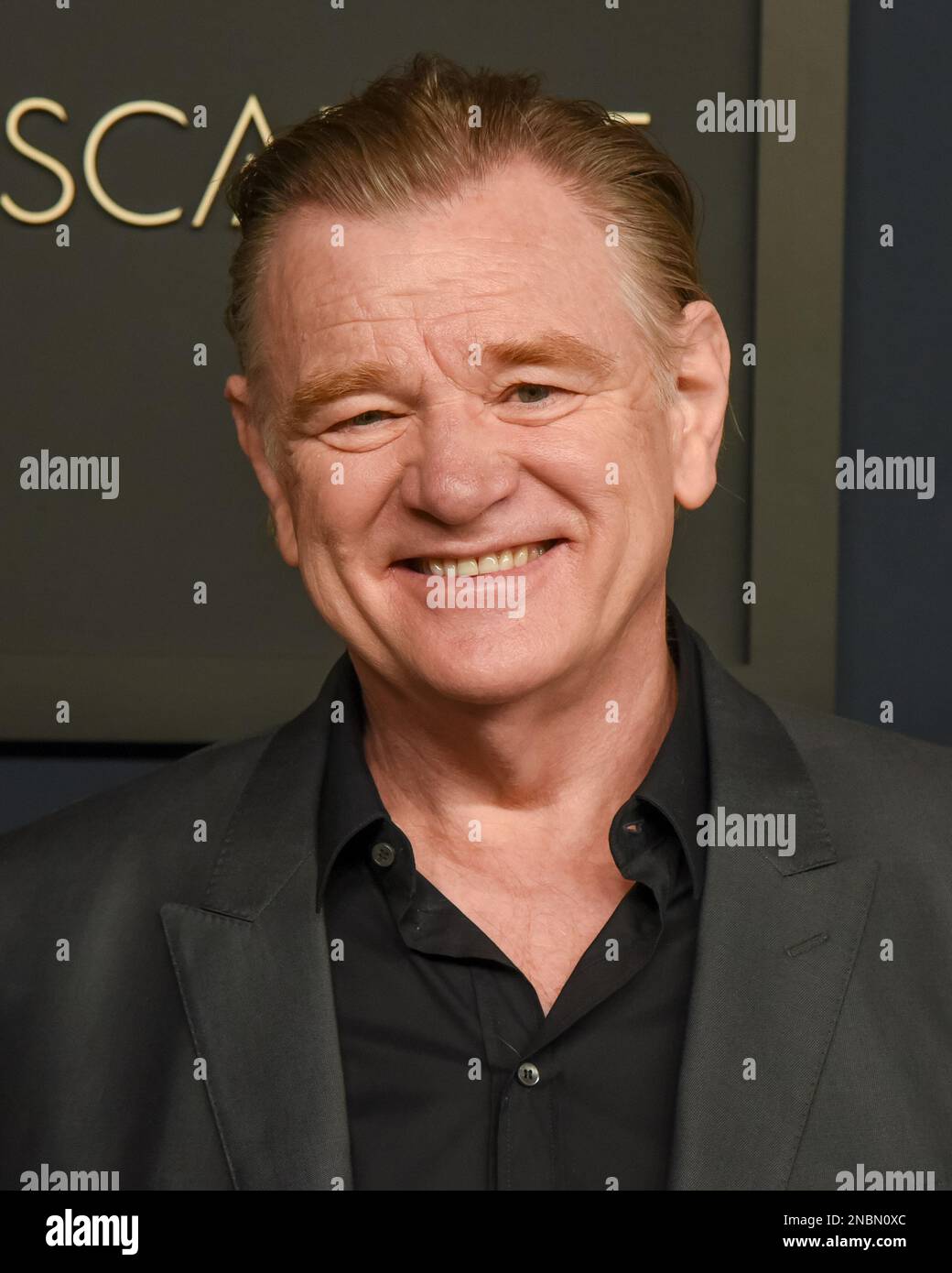 February 13, 2023, Beverly Hills, California, USA: Brendan Gleeson ...