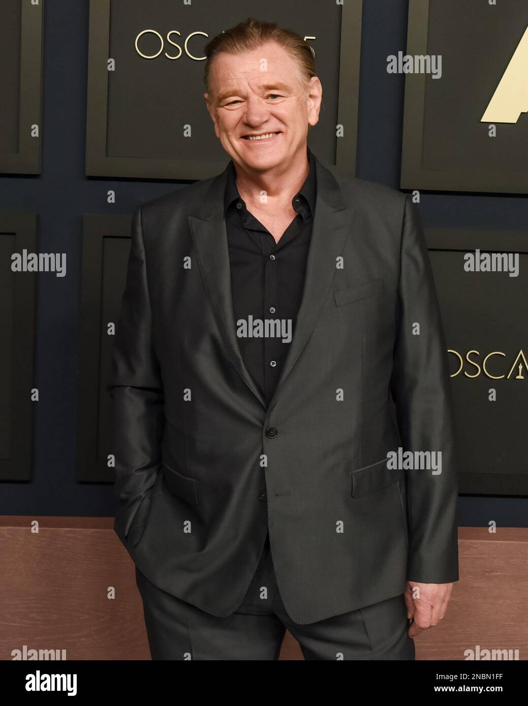 Brendan gleeson oscars hi-res stock photography and images - Alamy