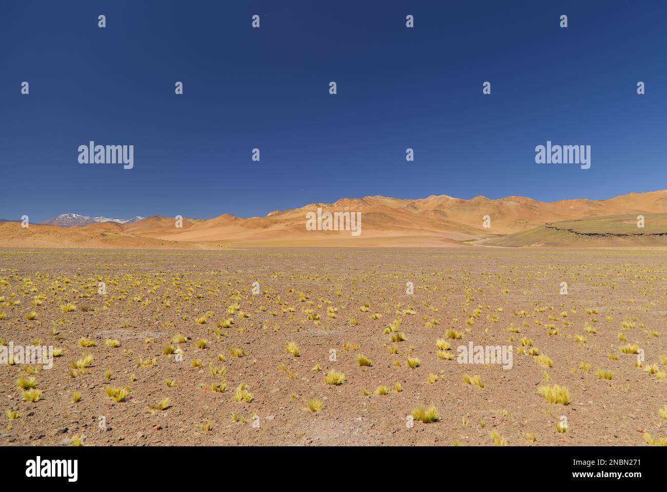 The beautiful colors of the Puna, Argentina Stock Photo - Alamy