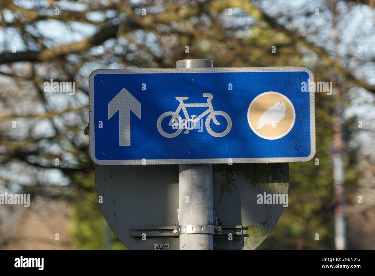 Sign depicting a shared bike path and pedestrian way Stock Photo - Alamy