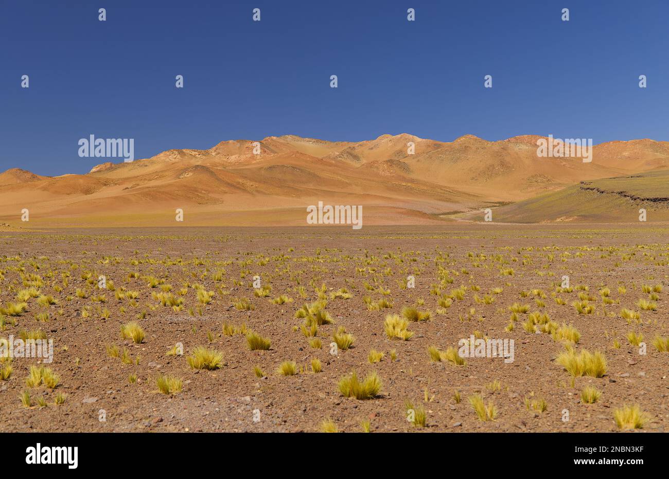 The beautiful colors of the Puna, Argentina Stock Photo - Alamy