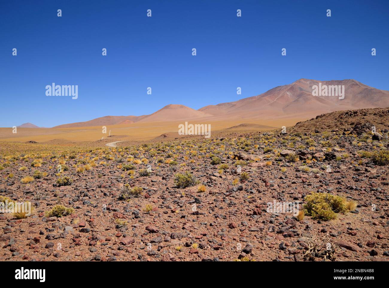 The beautiful colors of the Puna, Argentina Stock Photo - Alamy