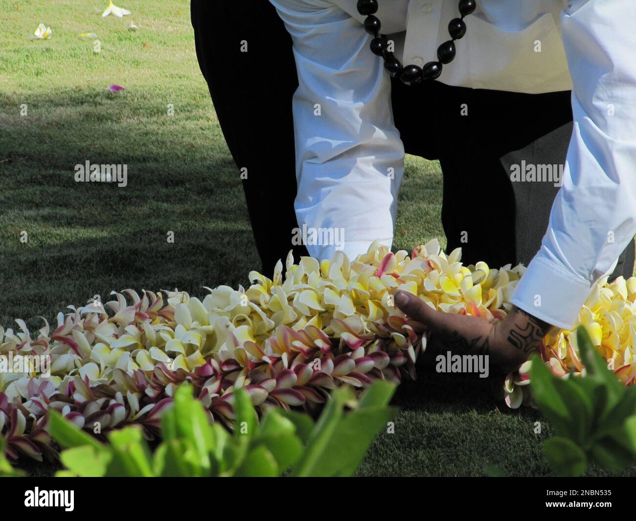 In this Friday, June 10, 2011 photo in Honolulu, a boy gathers flower ...