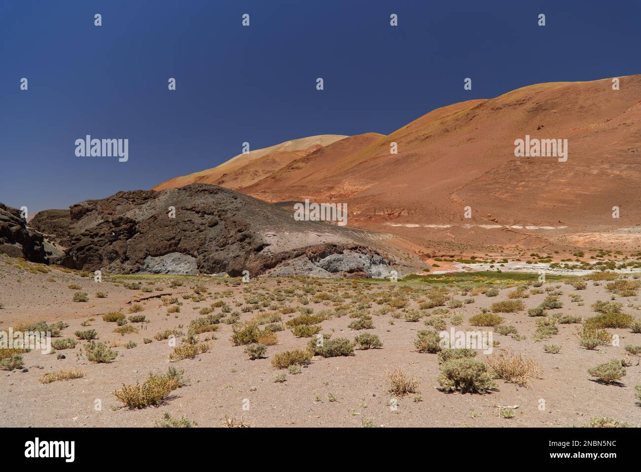 The beautiful colors of the Puna, Argentina Stock Photo - Alamy