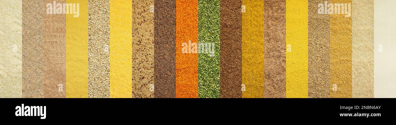 Various grain cereals banner, top view, wheat and oats, rice and peas ...