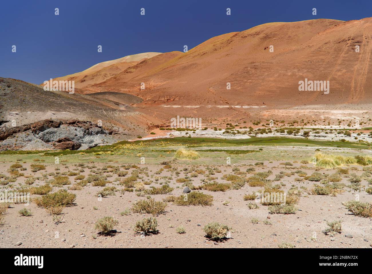 The beautiful colors of the Puna, Argentina Stock Photo - Alamy