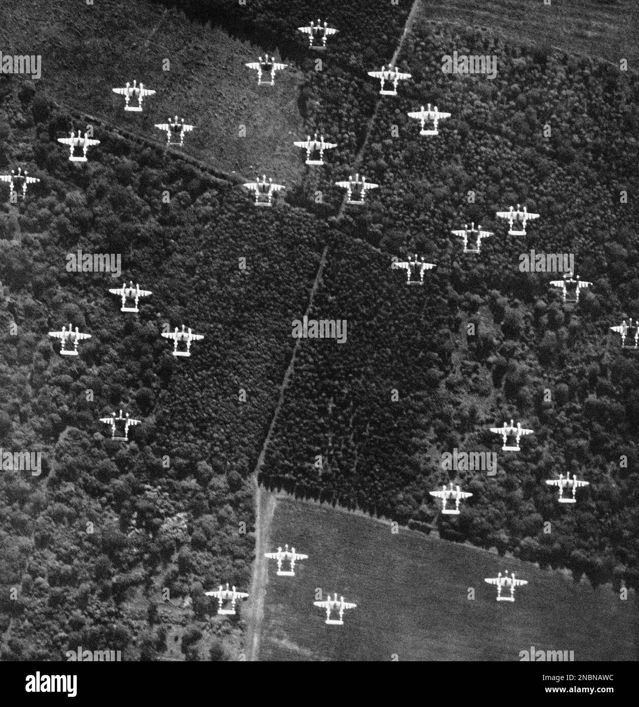 Lockheed Lightning planes of a U.S. Army Air Forces photo ...
