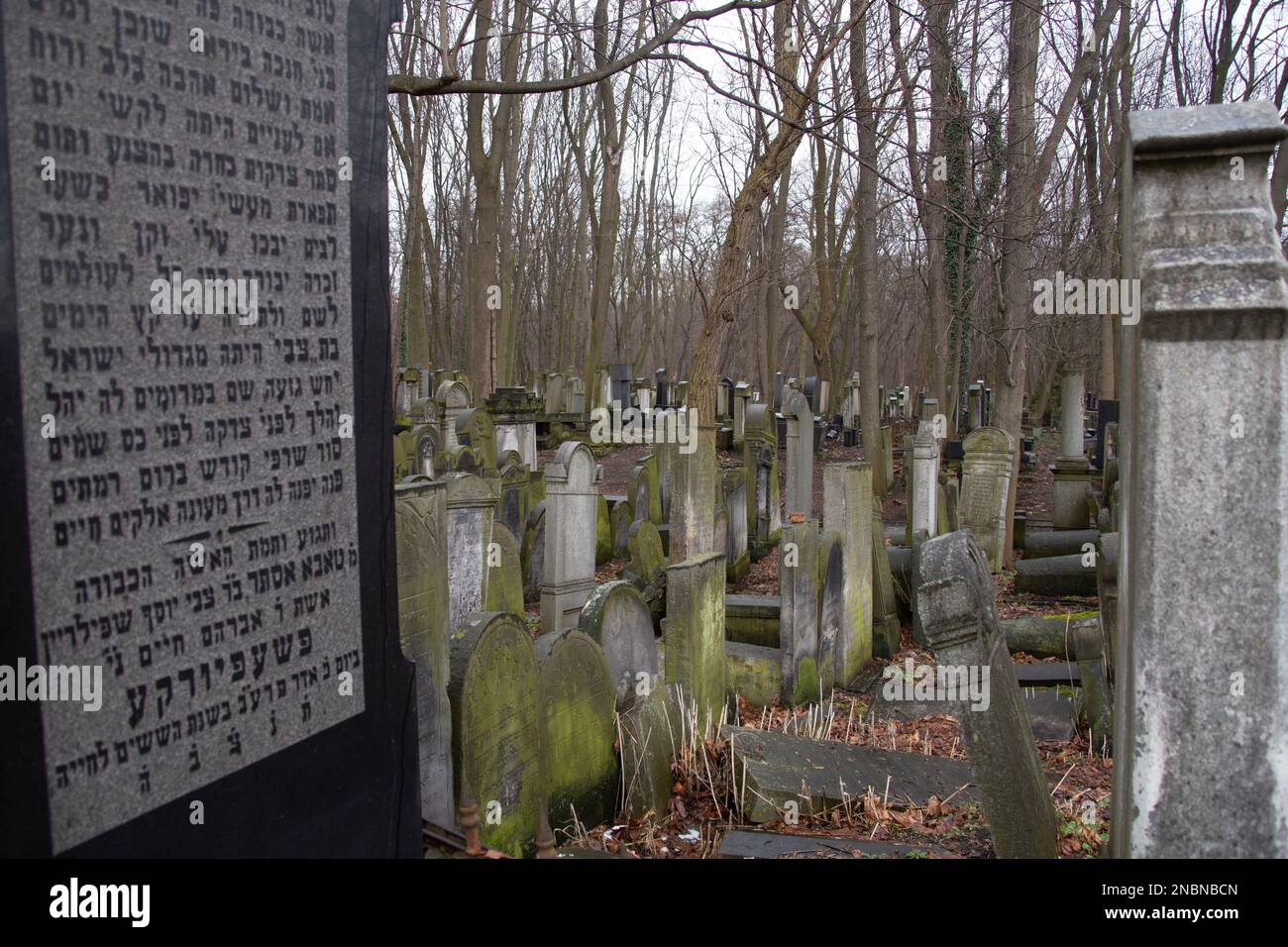 Graves in the Warsaw Jewish Cemetery - one of the largest Jewish ...