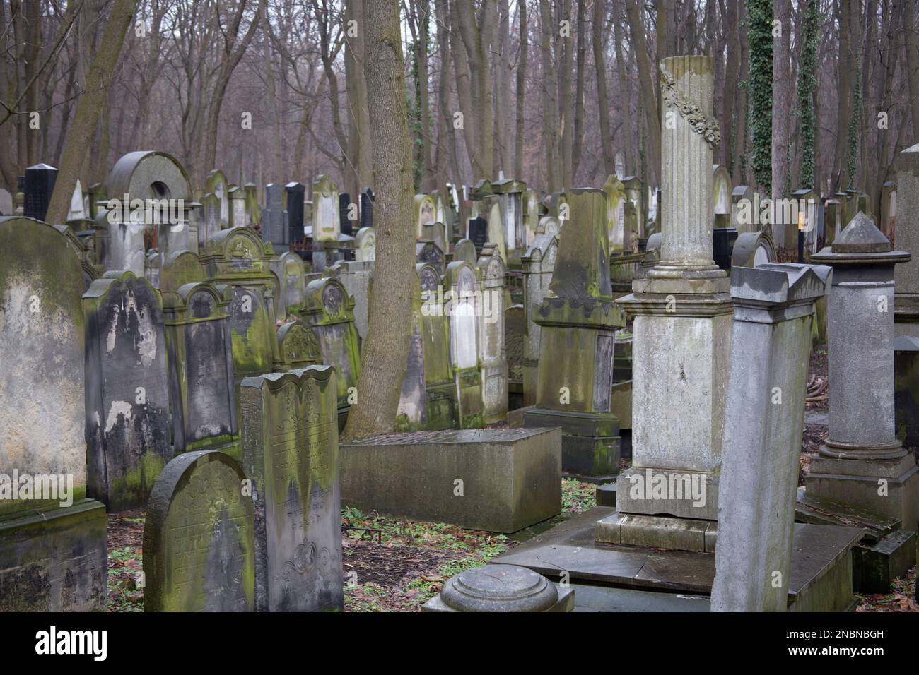 Graves in the Warsaw Jewish Cemetery - one of the largest Jewish ...