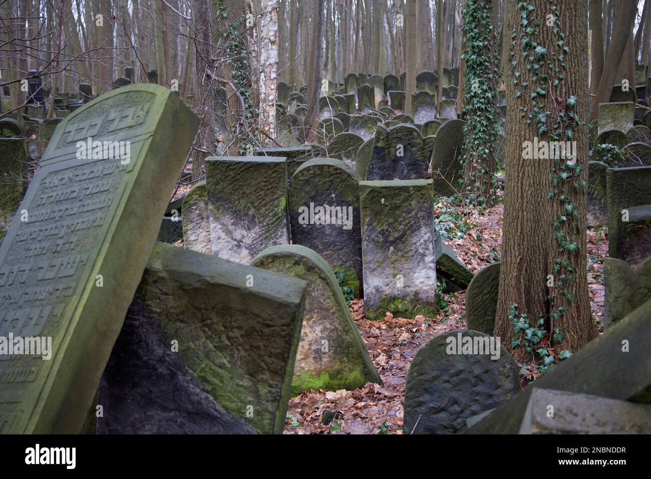 Graves in the Warsaw Jewish Cemetery - one of the largest Jewish ...