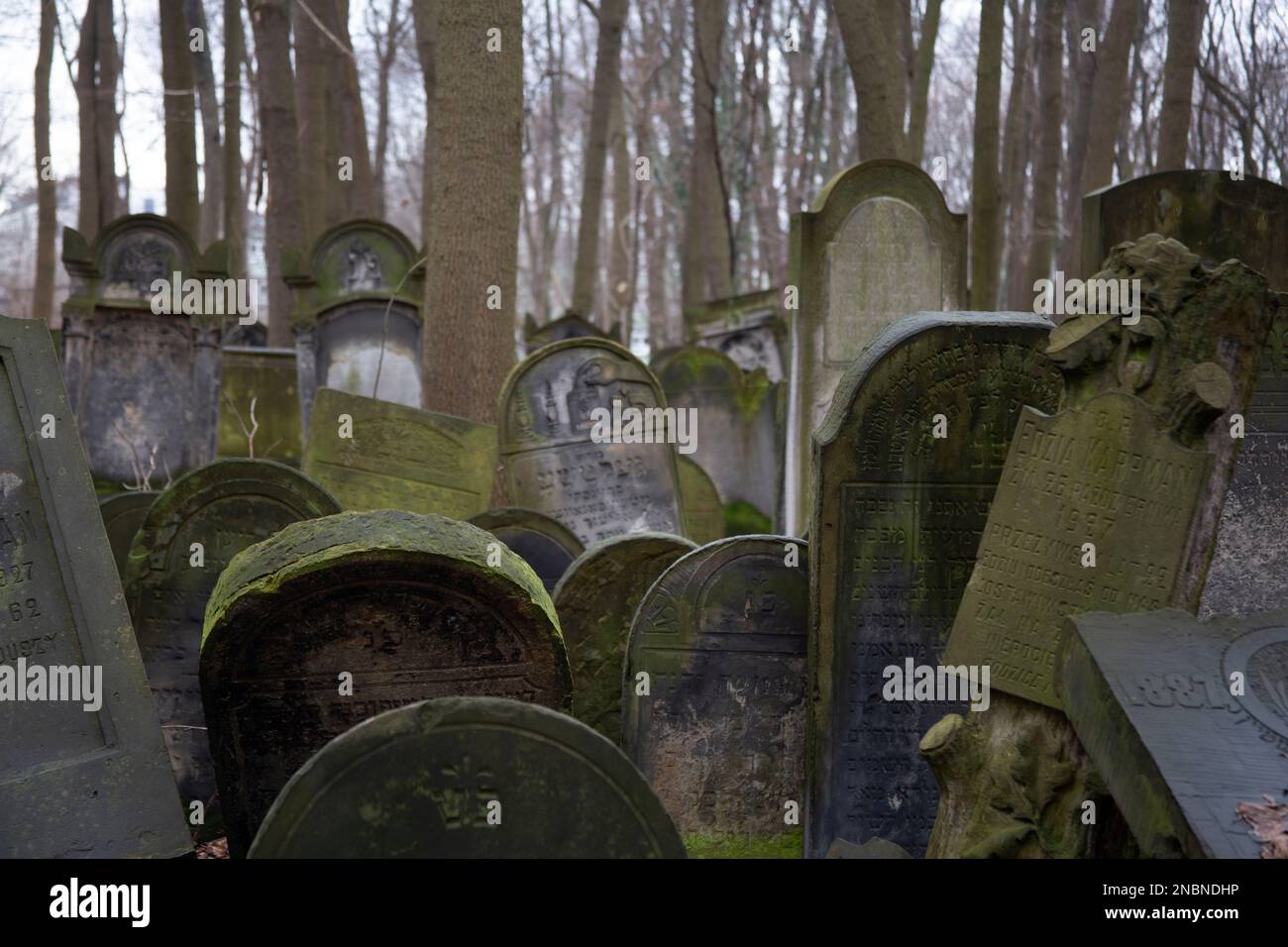 Graves in the Warsaw Jewish Cemetery - one of the largest Jewish ...