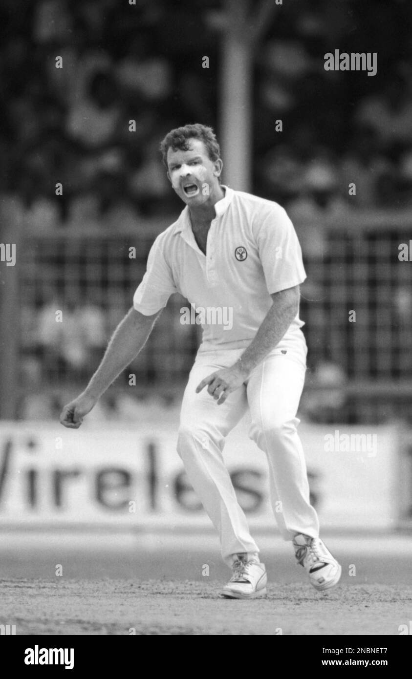 Cricket celebrating photo hi-res stock photography and images - Alamy