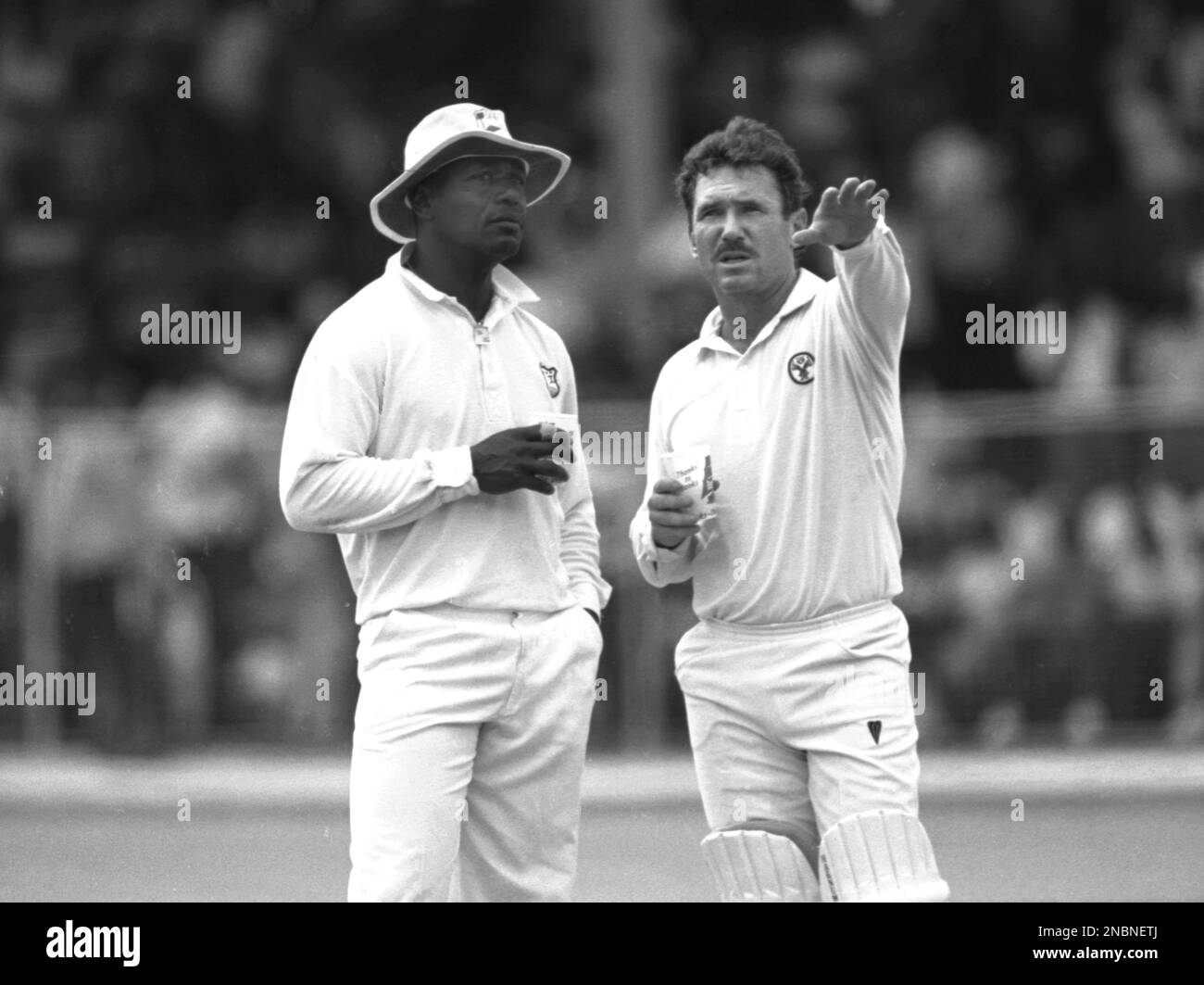 Desmond haynes cricket Black and White Stock Photos & Images - Alamy
