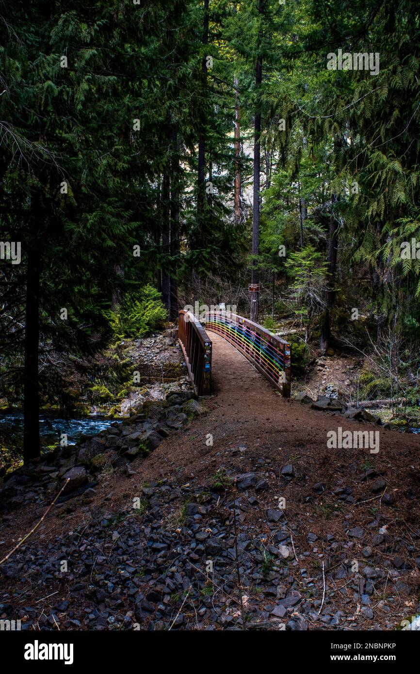 A view of the bridge in the green park Stock Photo - Alamy