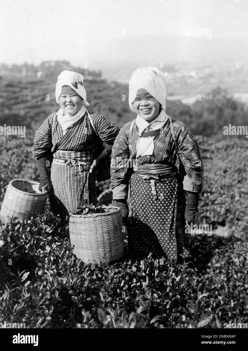 In the rural districts of Japan women often work from 12 to 16 hours a ...