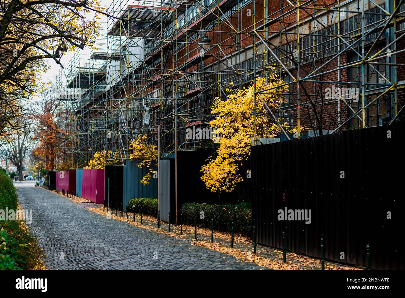 The autumn leaves falling down in Brussels Stock Photo - Alamy