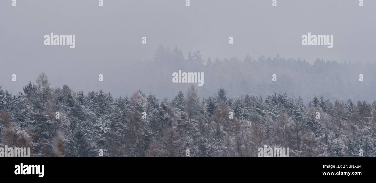 Aerial frozen forest hi-res stock photography and images - Alamy