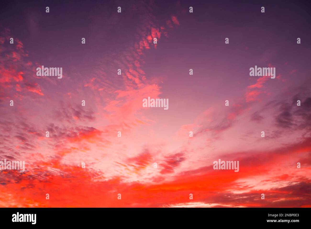 Abstract and pattern of cloud sky Calming coral, Orange, Trend color ...