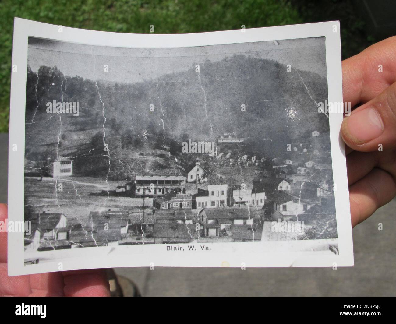 Flowers And More Marmet West Virginia at James Silvers blog