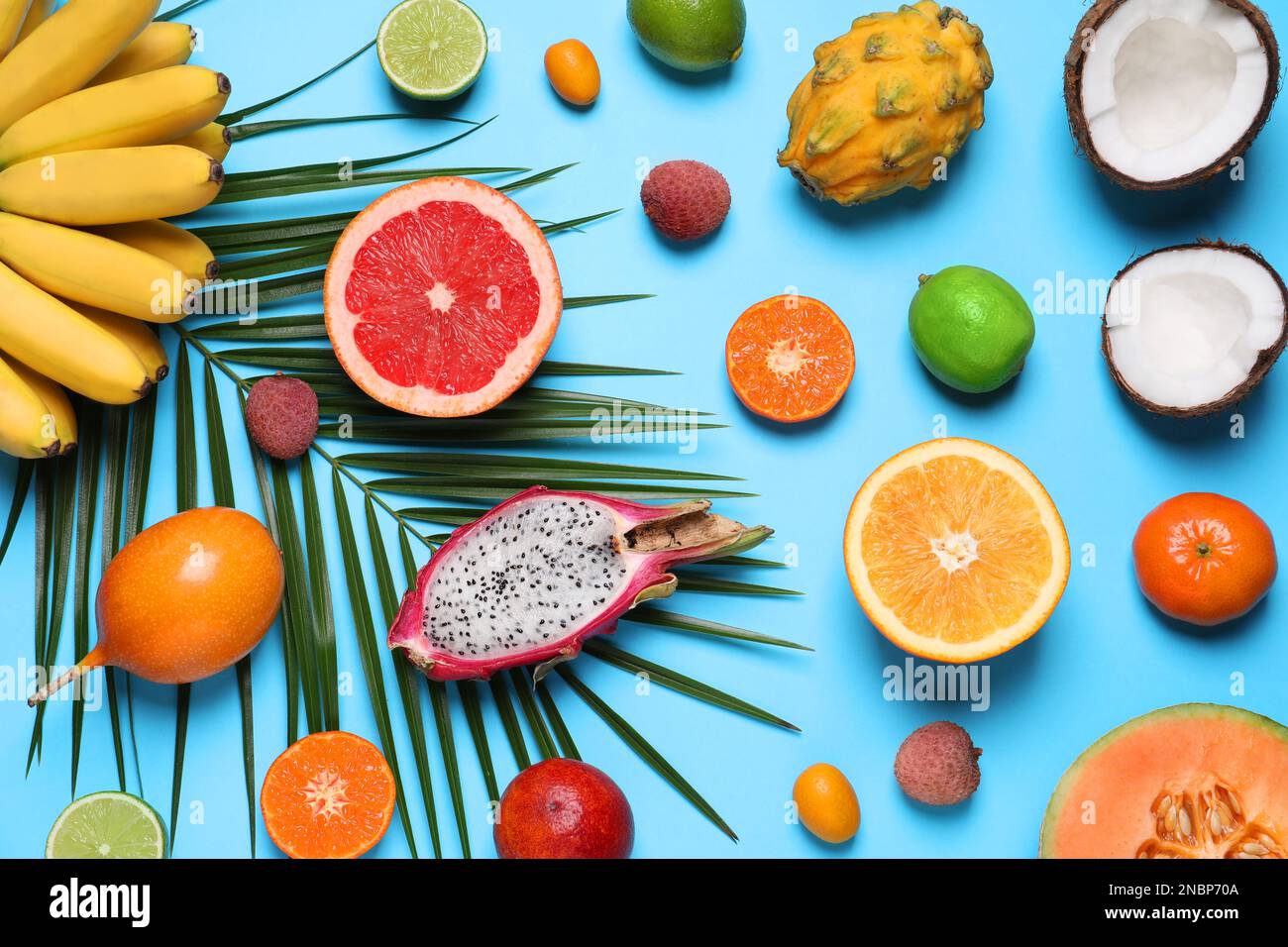 Different exotic fruits and palm leaf on light blue background, flat ...